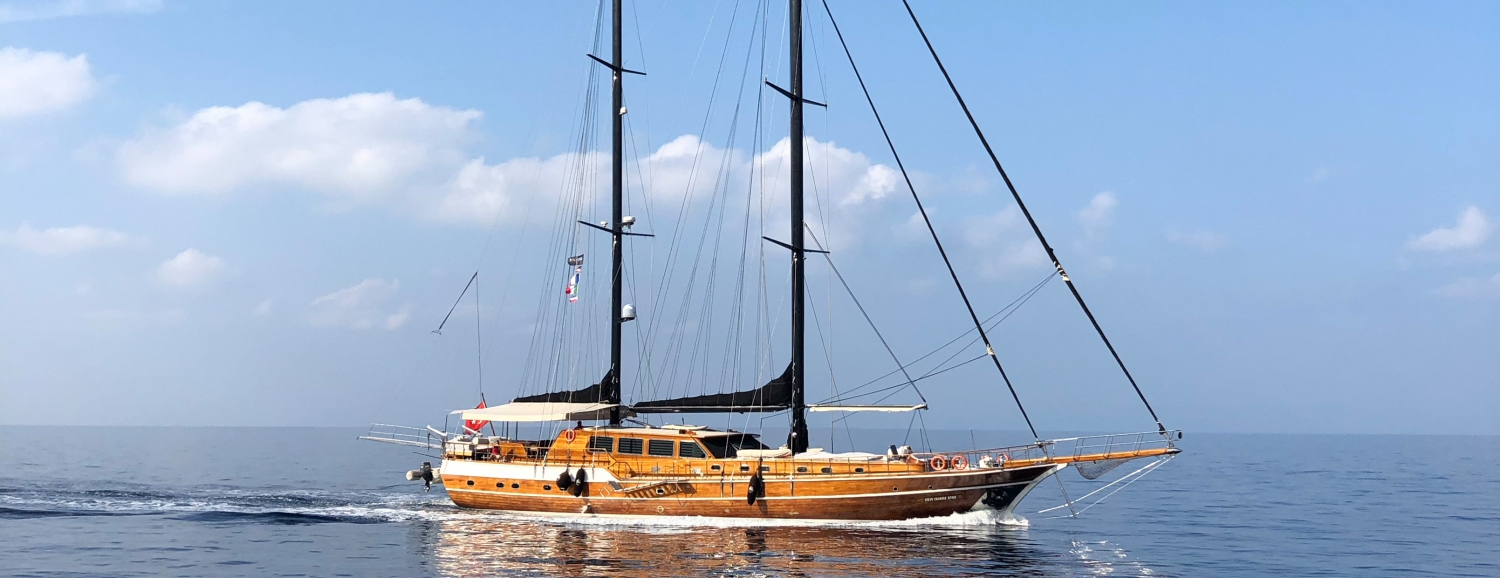Fleet - Runner Tourism & Travel
